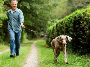 10 Reasons Why You Should Keep a Pet Dog | DogExpress