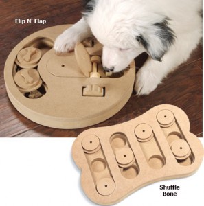 How To Make Your Dog Happy? | DogExpress