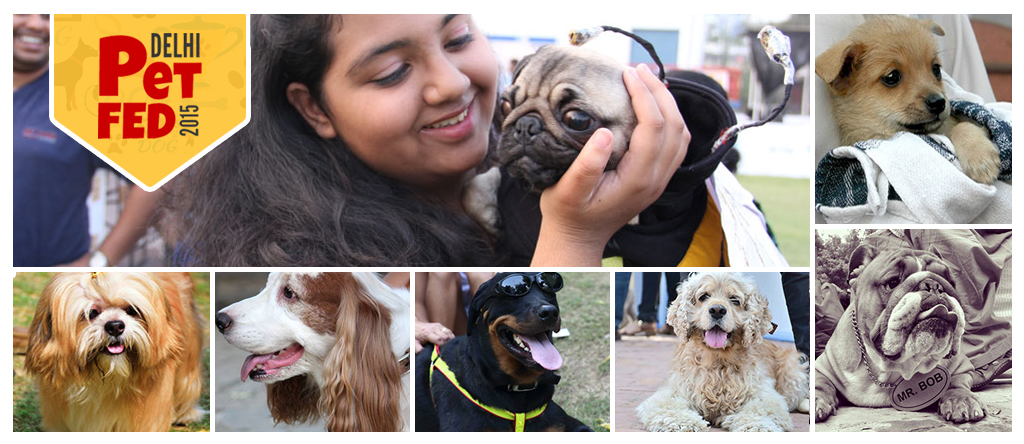 PetFed Delhi 2015 | DogExpress