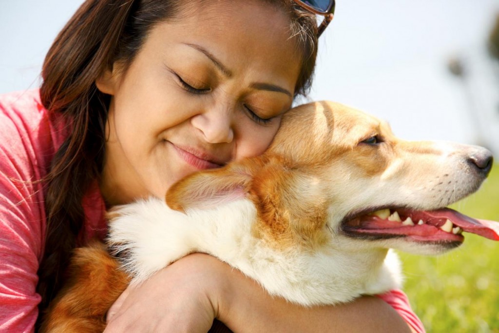 10 Reasons Why You Should Keep a Pet Dog | DogExpress
