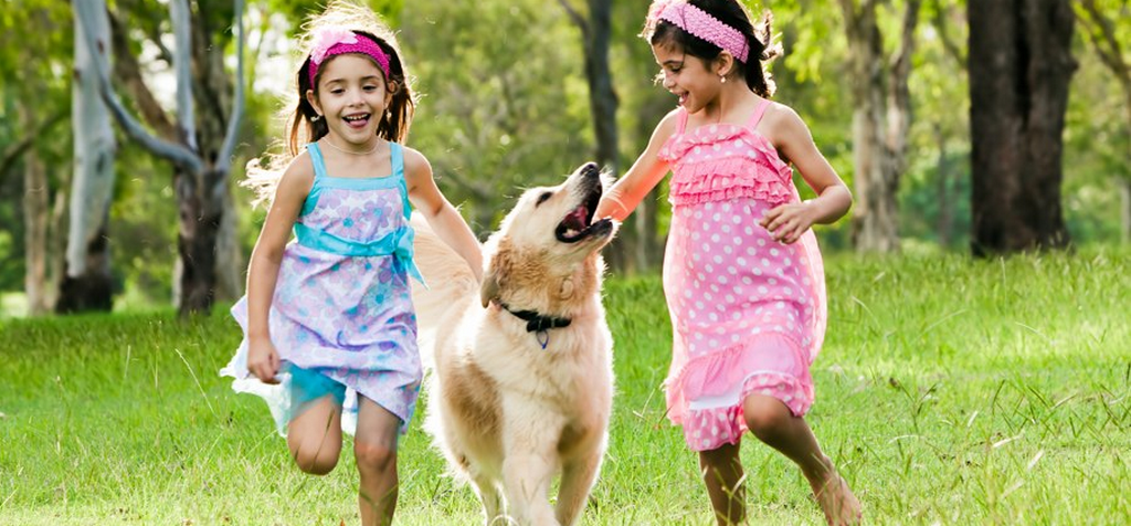 10 Reasons Why You Should Keep a Pet Dog | DogExpress