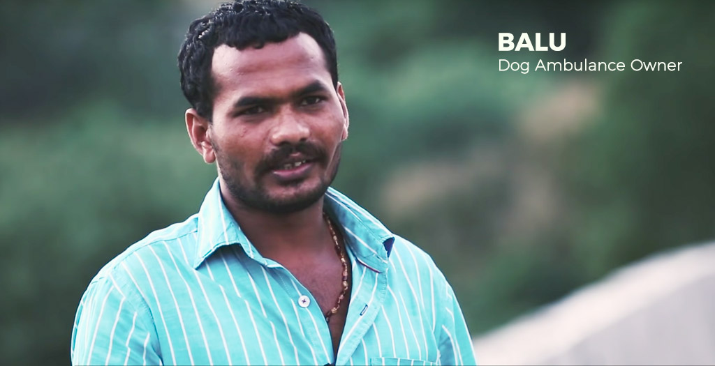 Man Buys An Ambulance For Dogs After Saving For 10 Years | DogExpress