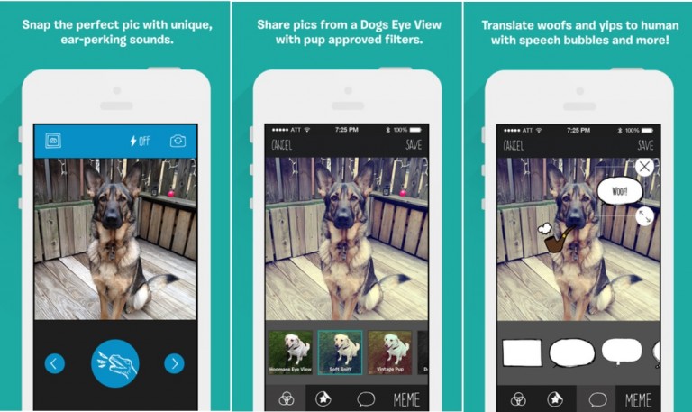 5 Apps For Dog Owners | DogExpress