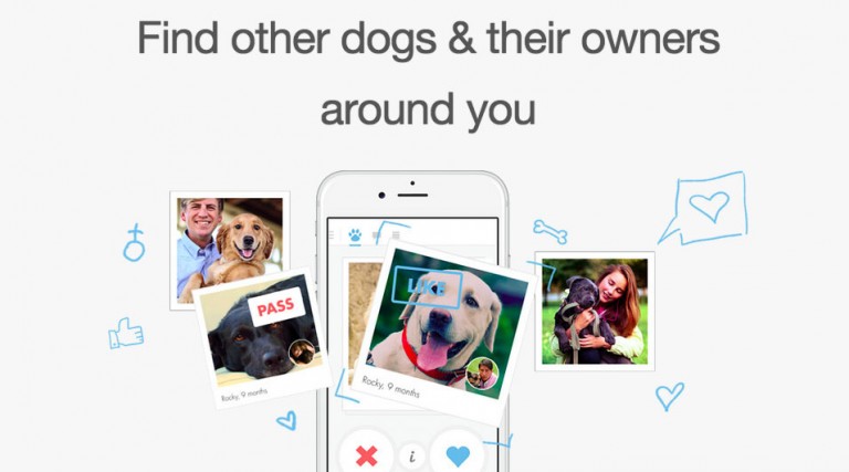5 Apps For Dog Owners | DogExpress