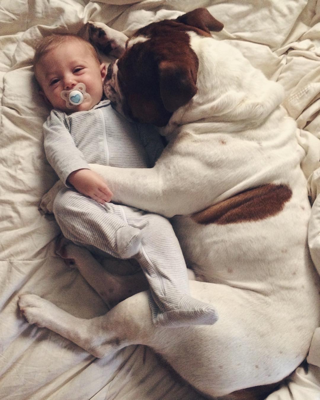 10 Cute Babies And Puppies Who Love Each Other Unconditionally | DogExpress