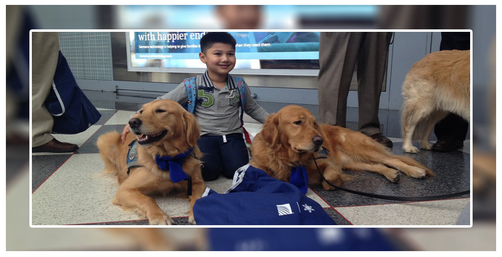 Therapy Dogs Help Stressed Fliers Feel Better At Mumbai