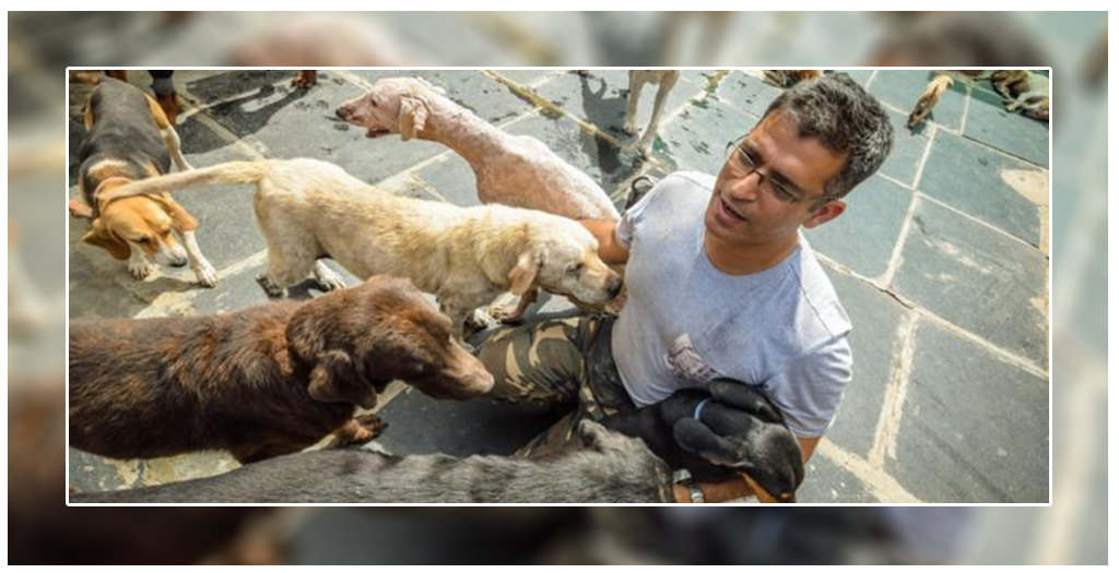 Software Engineer Known As Dog Father Of 735 Dogs | DogExpress