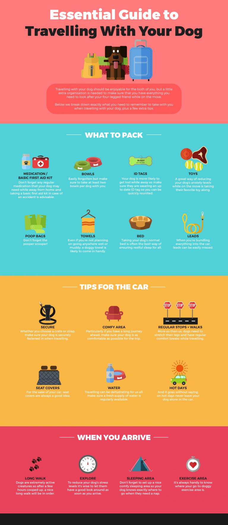 An Essential Guide To Travelling With Your Dog [Infographic]