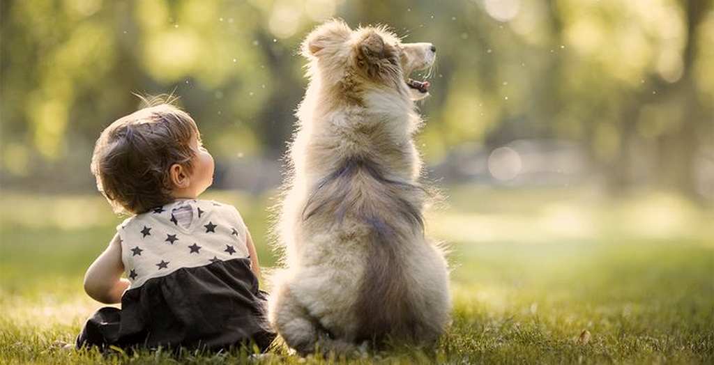 How To Celebrate Friendship Day With Your Pet Dog | DogExpress