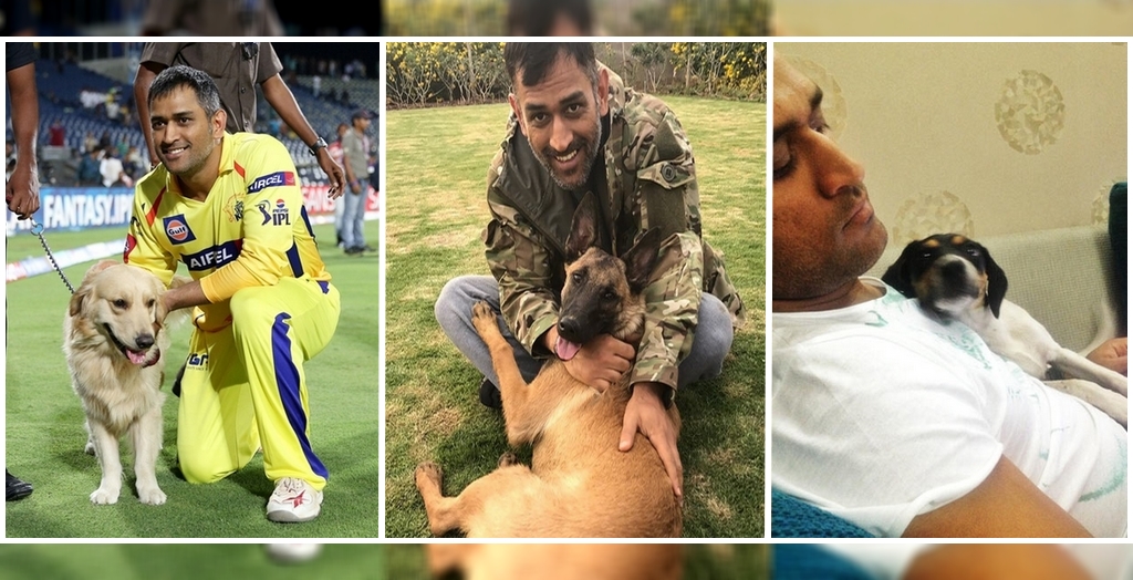 MS Dhoni And His Love For Dogs | DogExpress