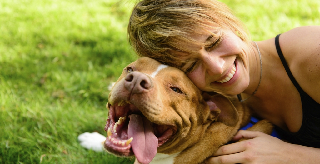 New Study Says Dogs Are Attracted To Smiling Faces | DogExpress