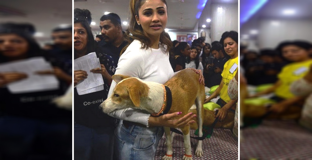 Daisy Shah Adopts An Indian Dog Breed | DogExpress