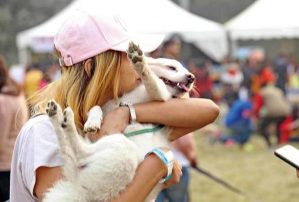 India’s Biggest Pet Fed Festival Organized In Delhi | DogExpress