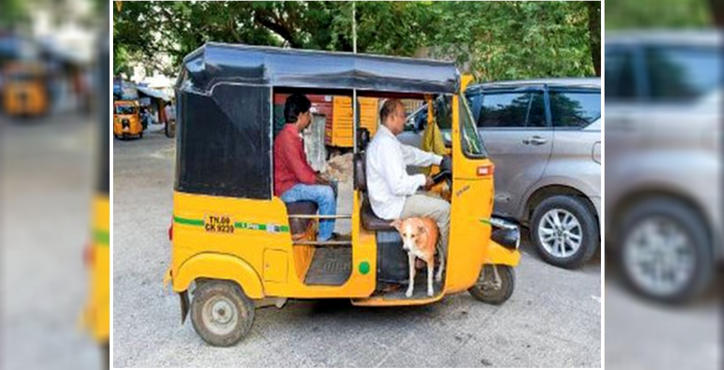 Auto Rickshaw Driver Travels 1 Lakh Km With His Pet Dog