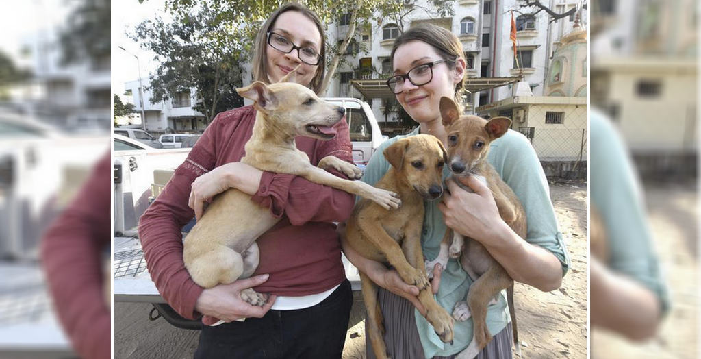 Foreigners Adopted Stray Dogs From India | DogExpress