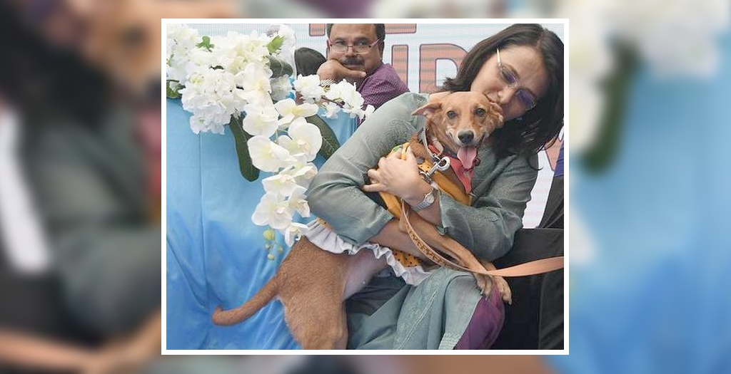 The Great Indian Dog Show 2018 Held In Chennai | DogExpress