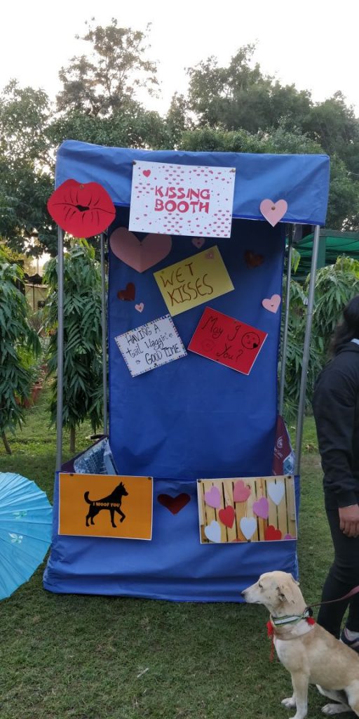 Successful Dog Event Organized By Forever Friends | DogExpress