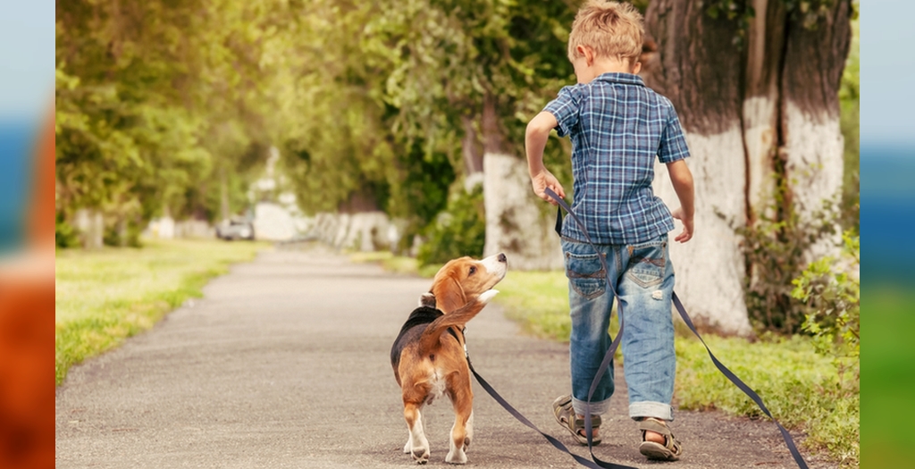 8 Reasons Why Every Kid Should Have A Dog | DogExpress