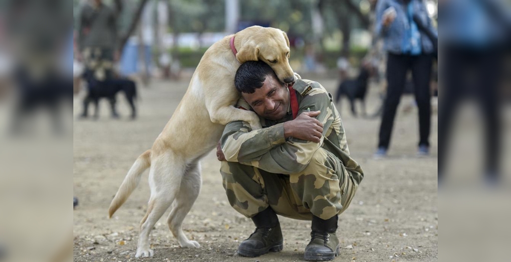 Dogs Are The Silent Warriors Of Indian Army | DogExpress