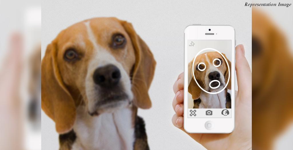 Face-Recognition App To Be Developed For Tracking Dogs