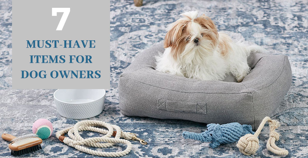 7 Must-Have Items for Dog Owners | DogExpress