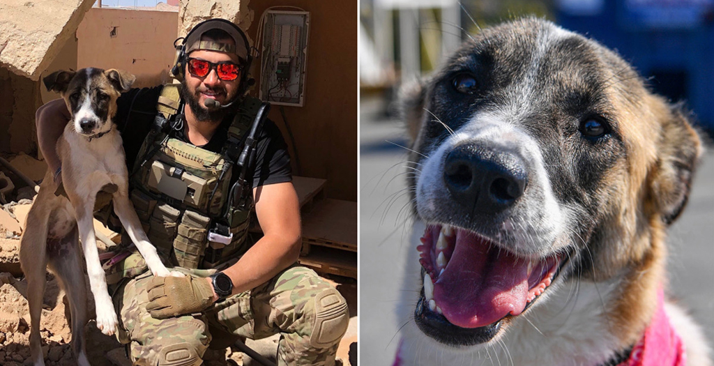 Combat Vet Soon to be Reunited with Syrian Rescue Do
