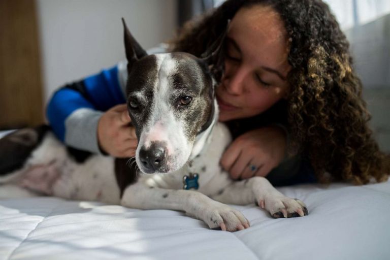 Photographer captures powerful connection between women and their dogs ...
