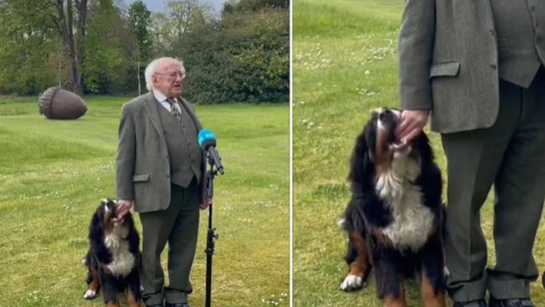 Irish President’s dog interrupts official address.