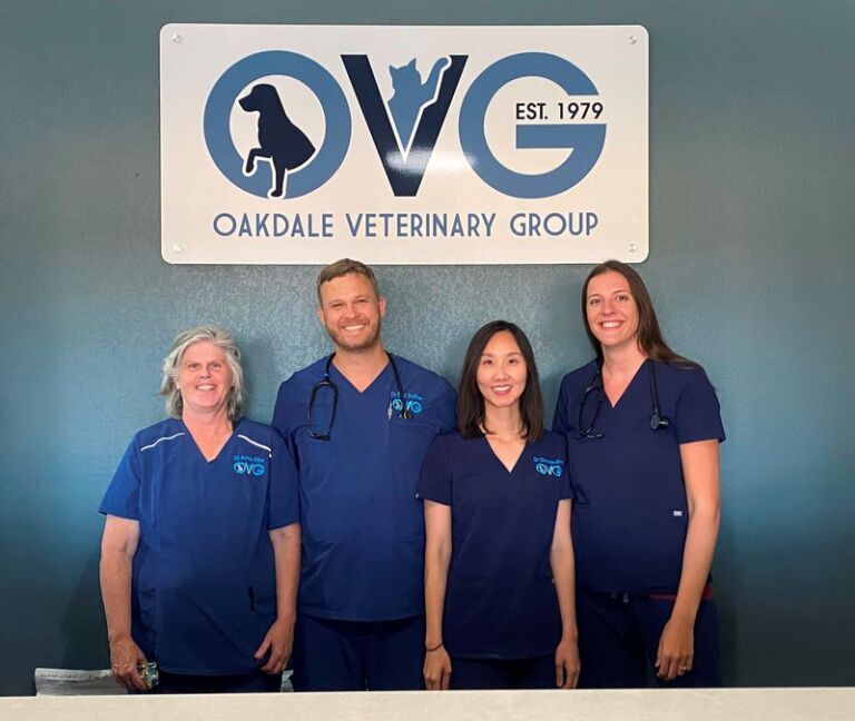 Top 10 Veterinary Clinics in Oakdale You Can Trust | DogExpress